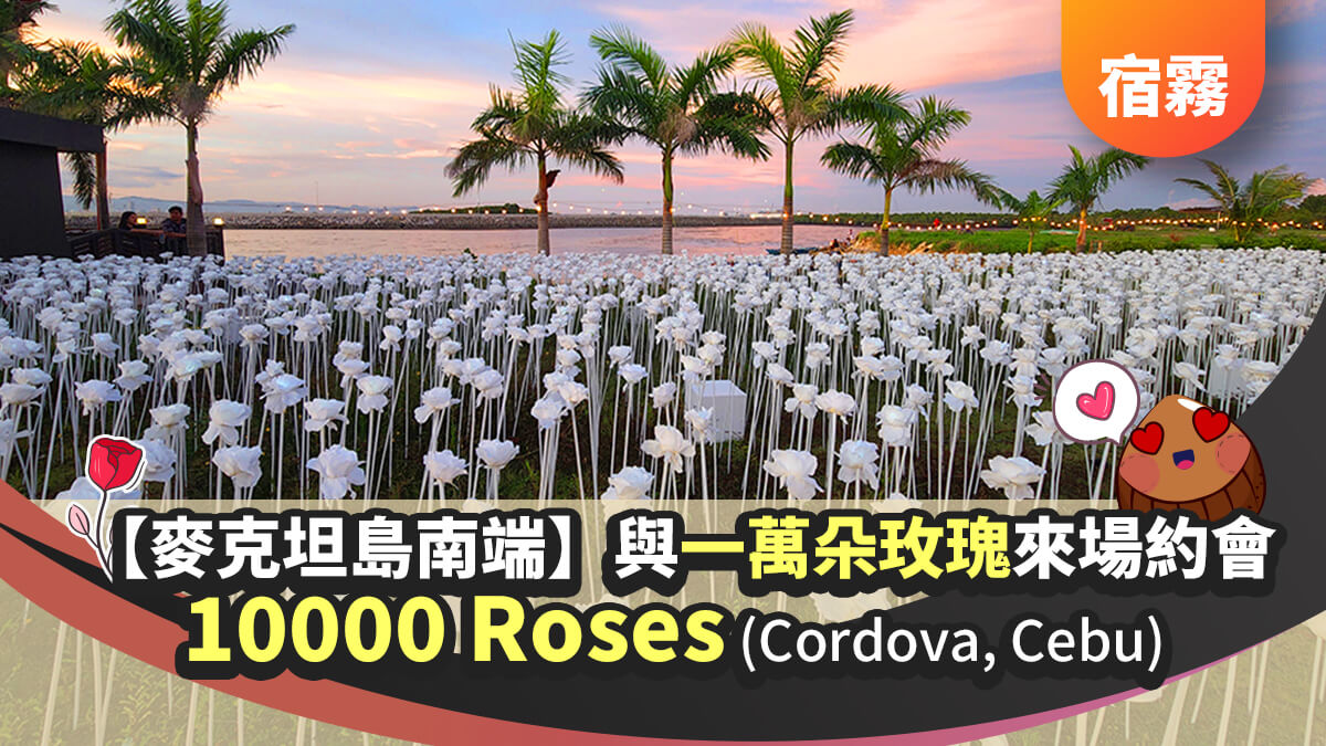 宿霧景點【10000 Roses】與一萬朵玫瑰 來場浪漫之約-麥克坦島南方Cordova, Cebu